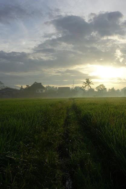 Premium Photo The Sky Is Cloudy And The Grass Is Green