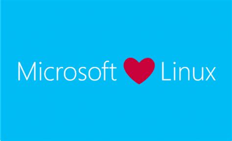 Windows Subsystem For Linux Explained Everyday Codes