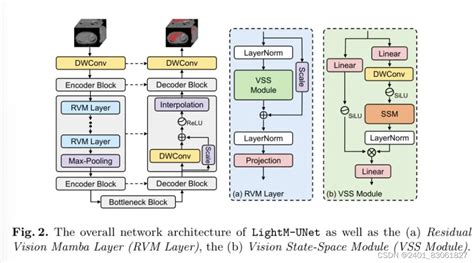 Lightm Unet：一个基于mamba的轻量级u形分割模型 Csdn博客
