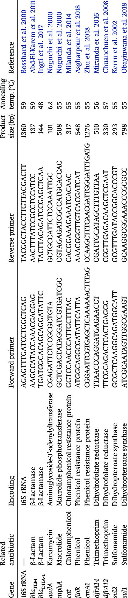 Information Regarding Primer Pairs Used In PCR Download Scientific Diagram