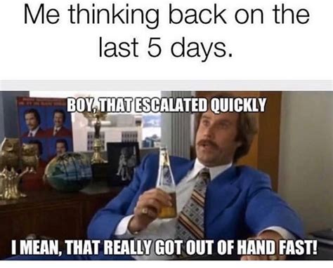 27 Funny Memes For The Apathetic Individual Artofit