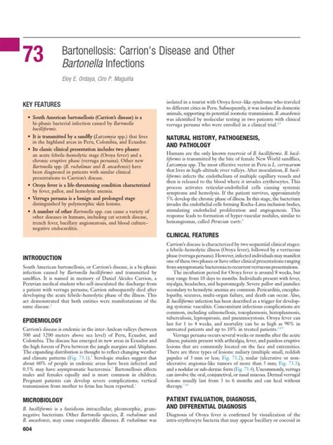 Bartonella Infections Bartonellosis Carrions Disease And Other Pdf