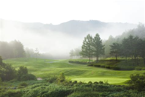 이 골프 용어 유래가 뭘까 한번 들으면 기억에 콕 박히는 유래 5가지