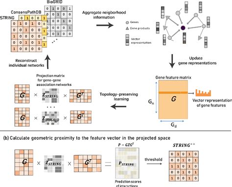 Figure 1 From A Framework Integrating Heterogeneous Databases For The Completion Of Gene