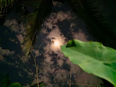 যখন নিজেকে বড্ড একা মনে হয় ওই দূর আকাশে চাঁদ কে দেখি। চাঁদের সৌন্দর্য দেখে তার একাকিত্বের