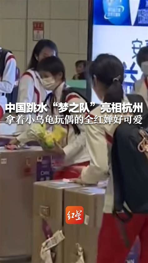 中国跳水“梦之队”亮相杭州 拿着小乌龟玩偶的全红婵好可爱凤凰网资讯凤凰网