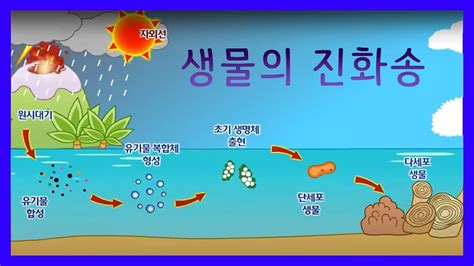 용불용설 자연선택설 생물의 진화송 과학송 Youtube