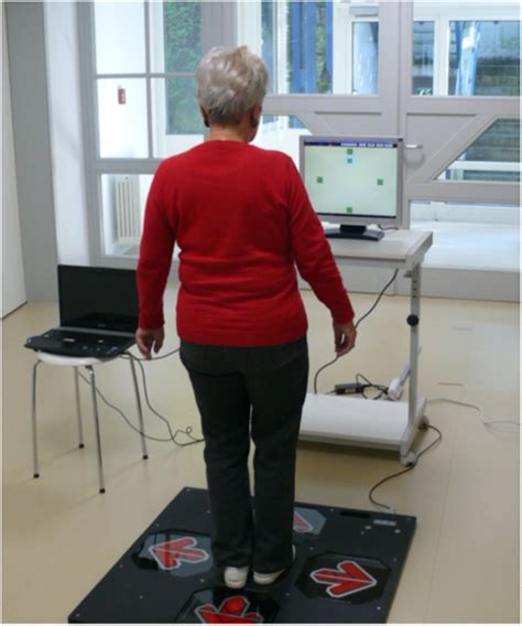 Effectiveness And Sustainability Of A Motor Cognitive Stepping Exergame Training On Stepping