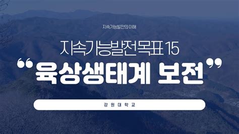 지속가능발전목표sdgs 육상생태계 보전과 산림과학 Youtube