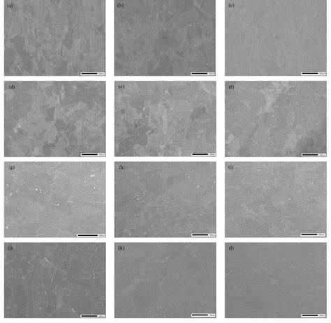 The Microstructure Of Longitudinal Section ∥bd Of Hip Samples Of A