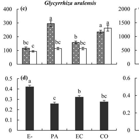 Effects Of Dark Septate Endophyte Dse Inoculation And Drought Download Scientific Diagram