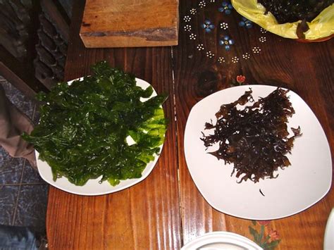 Cooking Workshop With Lorna Munoz From Seaweed Harvesting … Flickr