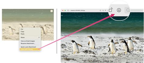 Heres How To Use The Mac Markup Feature