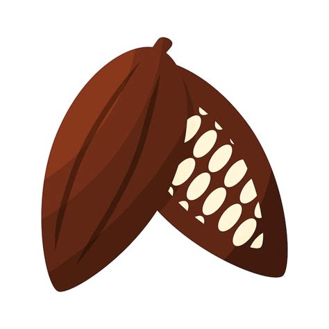 Premium Vector Cocoa Bean Plant Fruit Chocolate Day Element