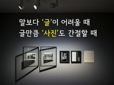 에디터 크몽 서비스 검색