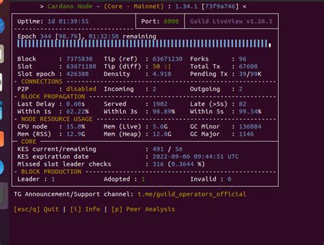 missed block why operate a stake pool cardano forum