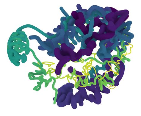 The Story Of Visualizing 3d Genome Data As A Path Toward Composable Visualization Tools Tu