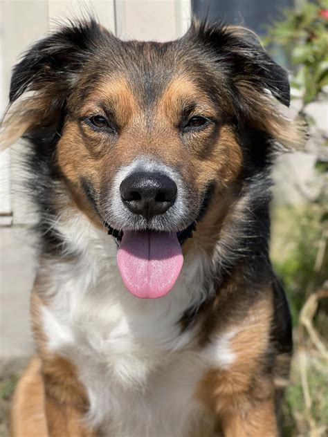 Pack Portraits Scrolller