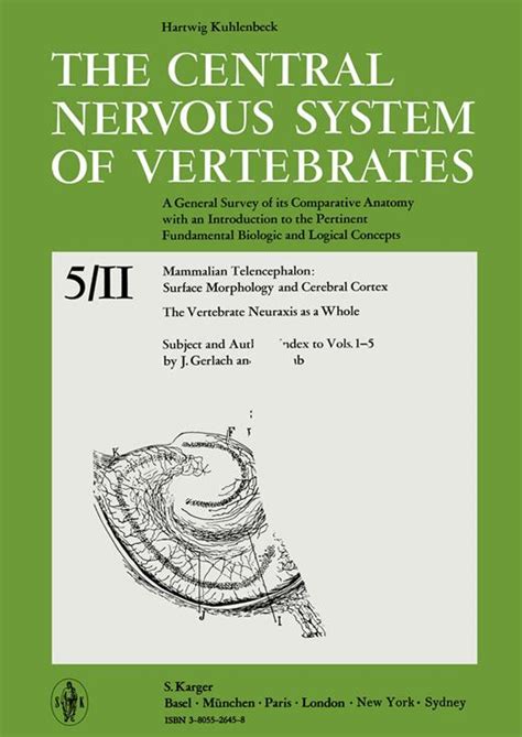 Xv The Mammalian Cerebral Cortex The Central Nervous System Of Vertebrates Vol 5