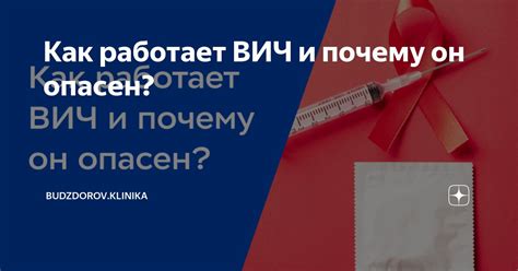 Как работает ВИЧ и почему он опасен Budzdorov Klinika Дзен
