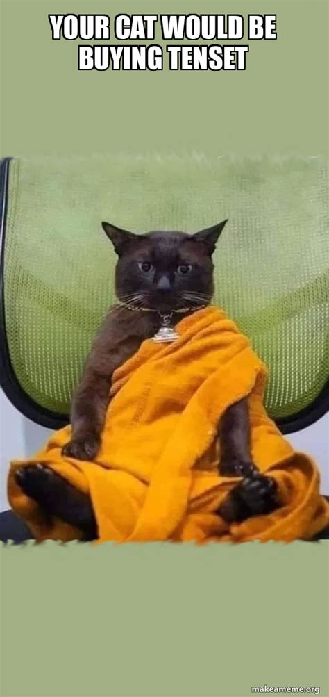 Your Cat Would Be Buying Tenset Zen Cat Meme Generator