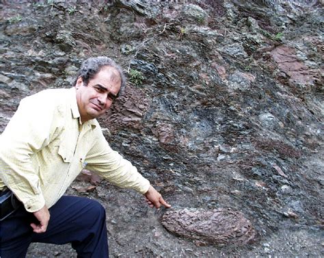 Figure 2 From Predicting Tunnel Squeezing Problems In Weak Heterogeneous Rock Masses Semantic