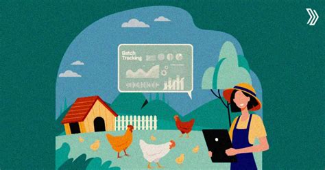 Importance Of Batch Tracking In Poultry Management Livine