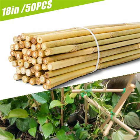 50pcs 18in Bamboo Plant Stakes For Indoor Outdoor Plants 0 32in 0 4in