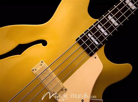 Jack Cassady Wallpaper Wall Mural By Magic Murals