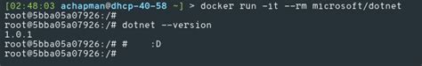Abusing Docker To Support Multiple Versions Of `dotnet`