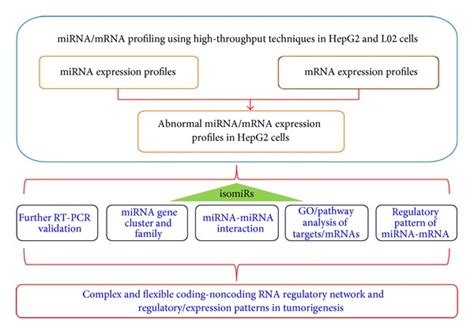 The Mirna Mrna Integrative Analysis Download Scientific Diagram