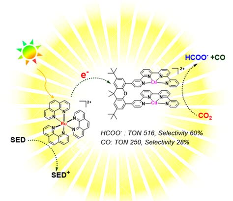 Visible Light Driven Co2 Reduction With Homobimetallic Complexes Cooperativity Between Metals