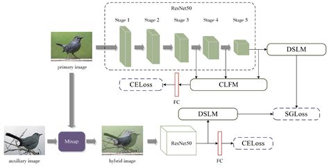 Pairwise Guided Multilayer Cross Fusion Network For Bird Image Recognition