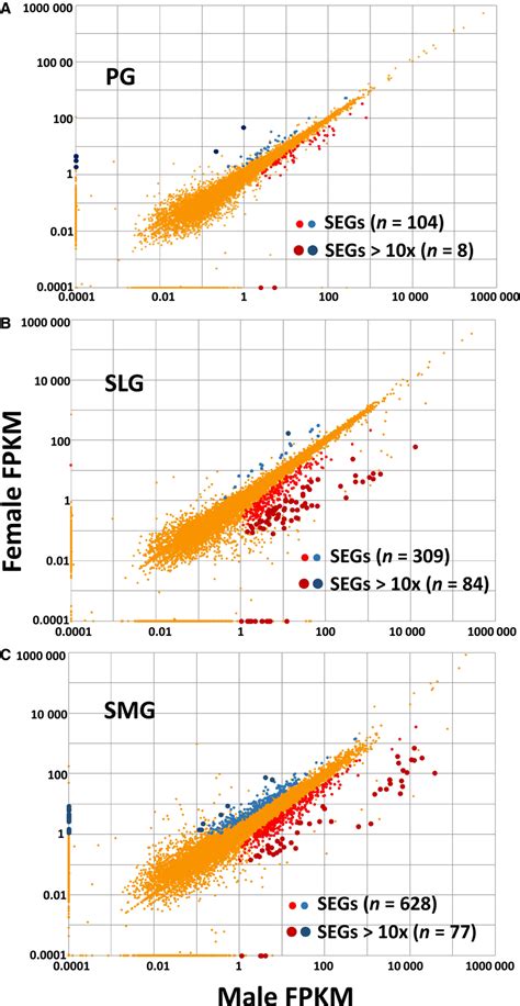 2d‐fpkm Scatterplot Of Sex‐wise Differential Gene Expression In Murine