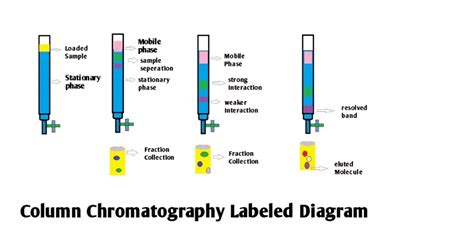 What Is Column Chromatography Steps Involved Column Chromatography And Its Principle Bio Help
