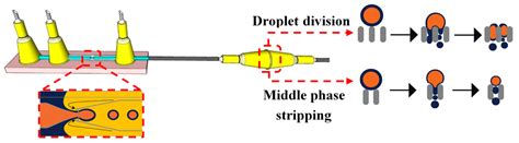 Micromachines Free Full Text Microfluidic Production Of Multiple Emulsions