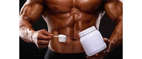 Что такое креатин и протеин ключевые моменты и полезные советы для здорового образа жизни