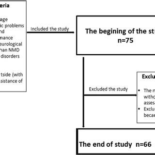 PDF Reliability And Validity Of Trunk Control Test In Patients With Neuromuscular Diseases