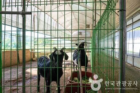 경기 고양시 화정중앙공원 등 여행지