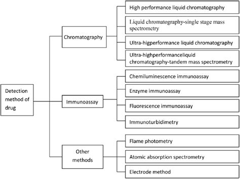 Method Of Drug Concentration Detection Download Scientific Diagram