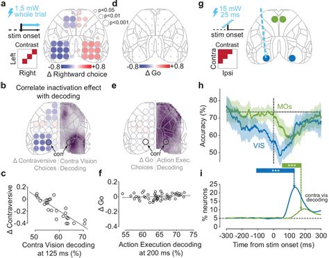 Sensory Coding And The Causal Impact Of Mouse Cortex In A Visual