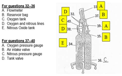 Expanded Functions Exam 4 Study Guide Medicine Flashcards Quizlet