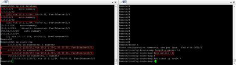 RouteLeakRIP Routing Information Protocol RouteLeak