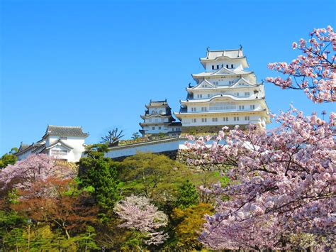 日本の風景桜に映える白い大天守姫路城壁紙1920x1440 壁紙館 姫路城 城 風景