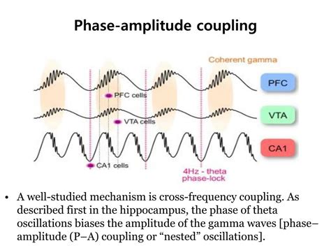 Ppt Slow Oscillation Fast Oscillation And Its Interactions