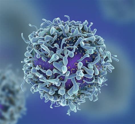 Consulting Partner With Experts In Immunogenicity Strategy