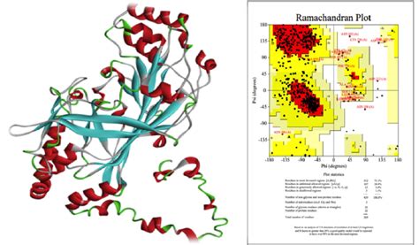 Structure Predicted Using I Tasser Program 711 Residues Are In The Download Scientific