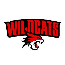 Futebol Dos Wildcats Do Noroeste