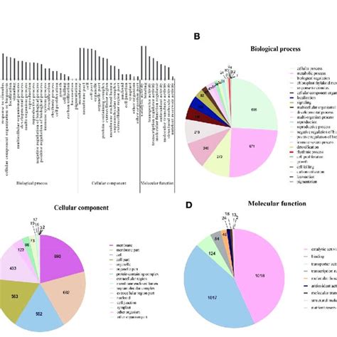 Gene Ontology Go Annotations For Differentially Expressed Genes Download Scientific Diagram