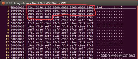 Linux使用vi或vim查看图片文件二进制数据，通过读取bmp头文件数据获取图片宽高查看图片二进制编码 Csdn博客